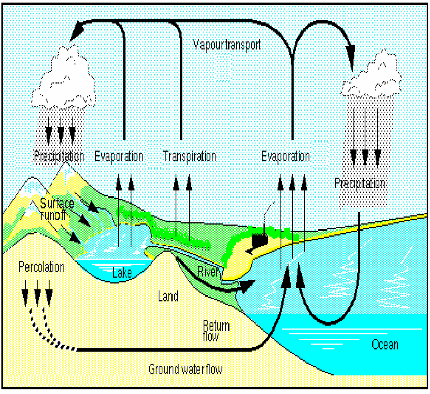 Hydrological Cycle Hydrological Cycle